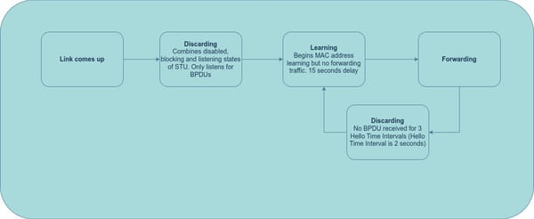 Preventing Network Loops with Spanning Tree Protocol (STP)